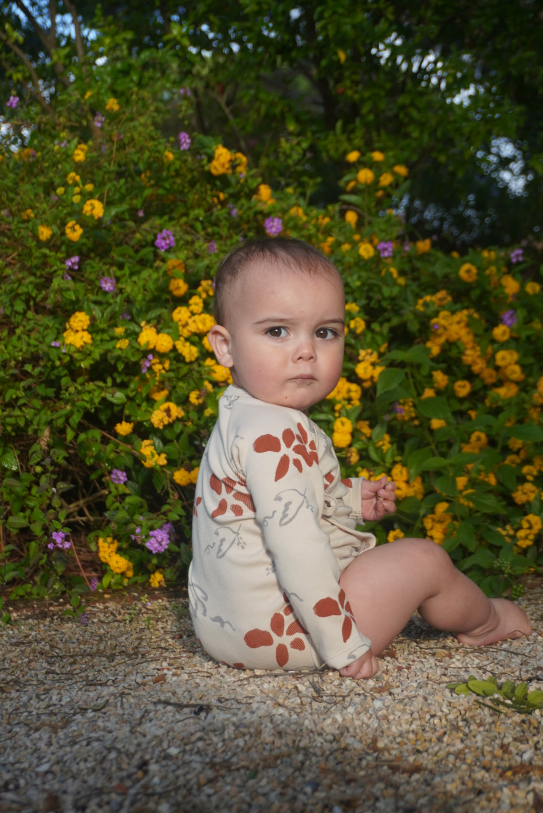 GRANELITO.CO - granelito.co